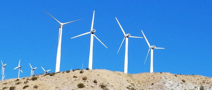 Importancia y beneficios de los recursos renovables | 2025