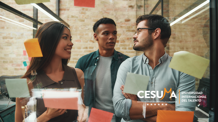 La pirámide de competencias de gestión | 2024