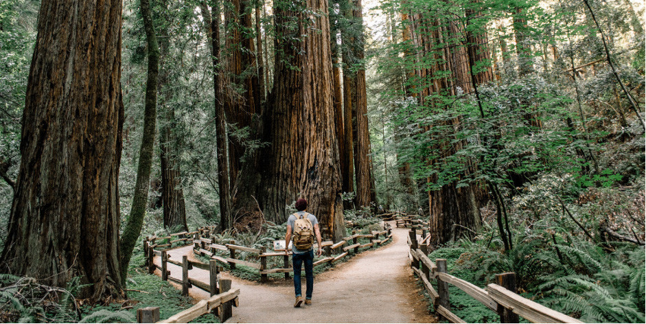 ¿Por qué escuchar mis mociones?