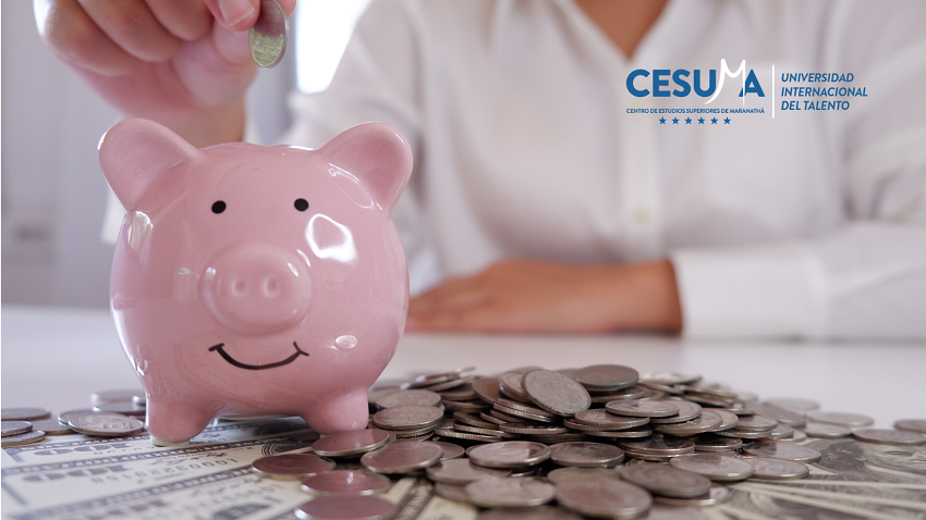 Tipos y métodos de ahorro en la economía Tipos y métodos de ahorro en la economía
