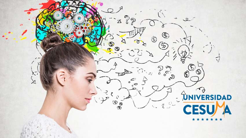 Características de la sociedad del conocimiento